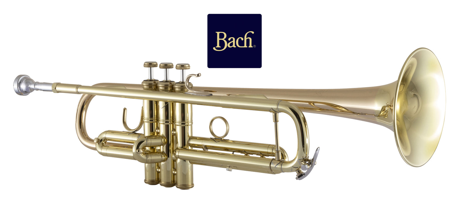 The Wind Section | Brass & Woodwind Musical Instrument Specialists