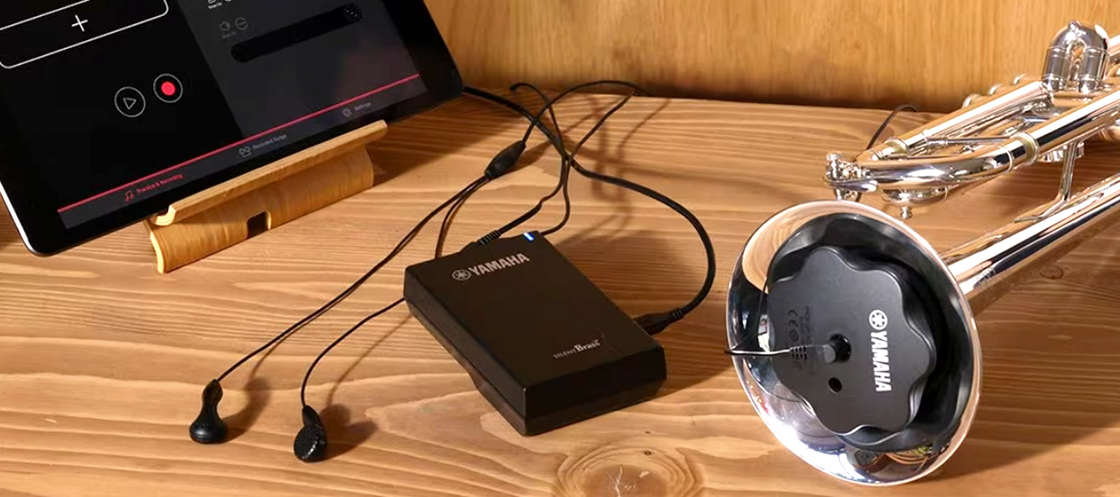 The Wind Section | Brass & Woodwind Musical Instrument Specialists